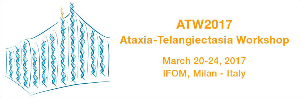 IFOM the FIRC Institute of Molecular Oncology