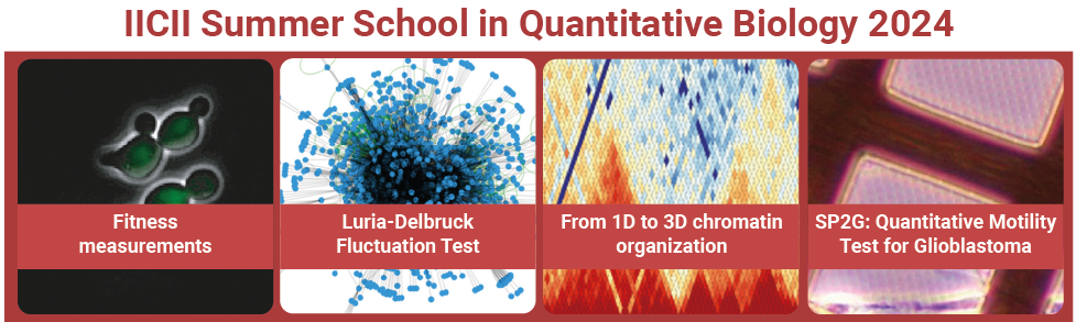 IFOM Istituto Fondazione di Oncologia Molecolare ETS