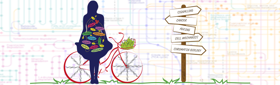 IFOM the FIRC Institute of Molecular Oncology