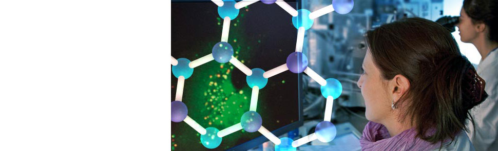 IFOM the FIRC Institute of Molecular Oncology